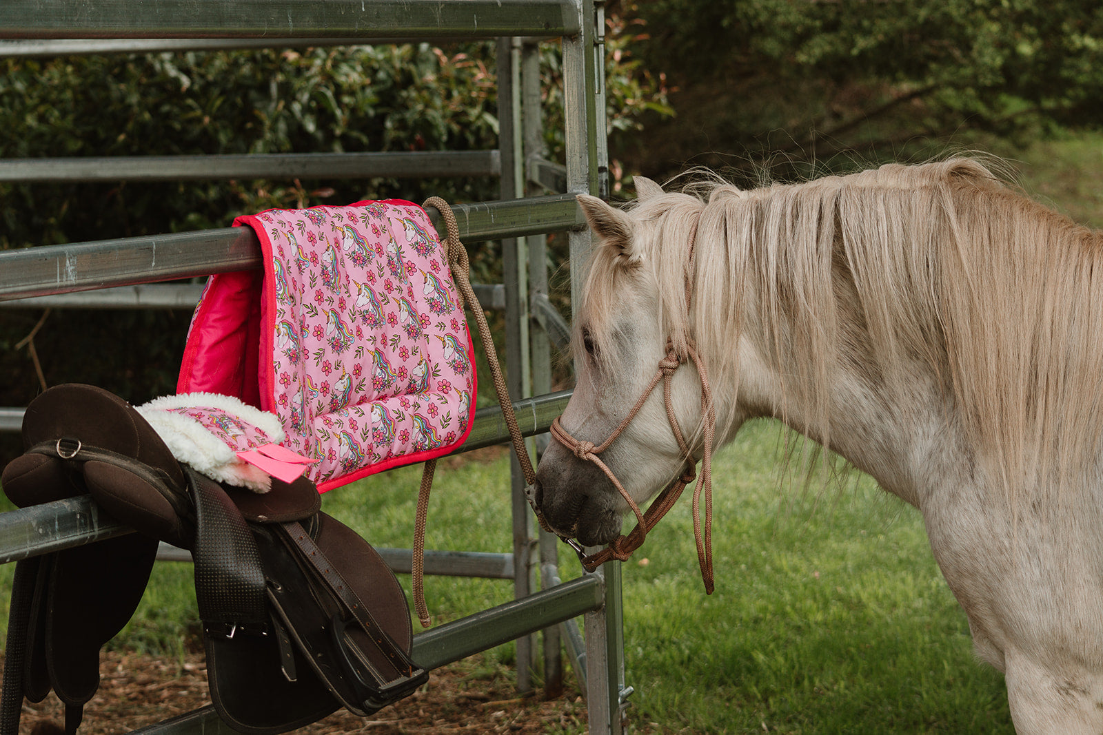 Custom Kids Horse Riding Tack Handmade in Rural NSW Australia. Saddle ...