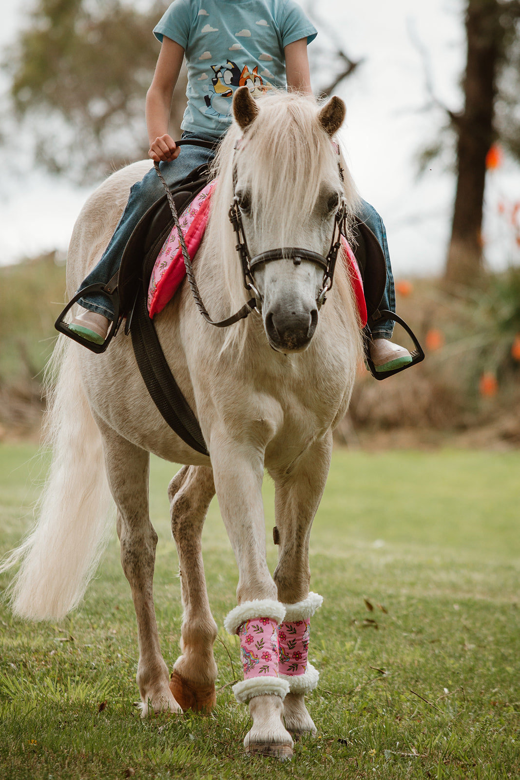 Dinosaur Stomp Tie-in Tail Bag – Penelope Claire Ponywear