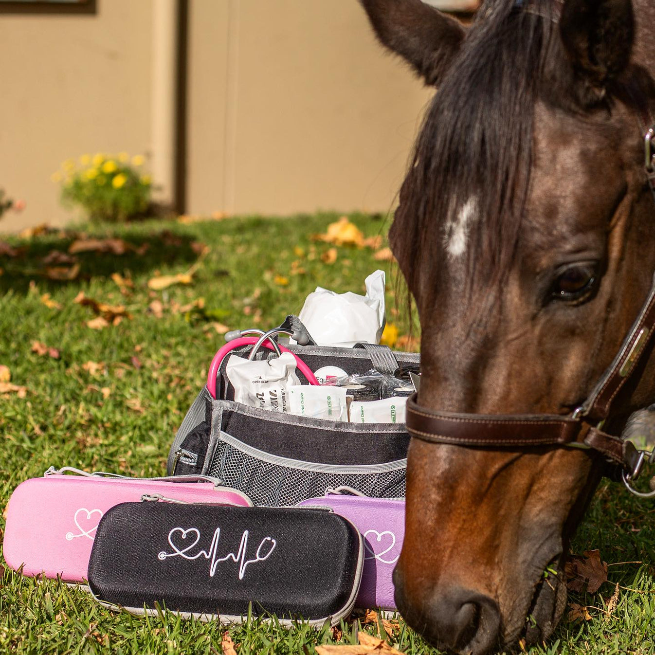 Equinurse Deluxe Vitals Kits – Penelope Claire Ponywear